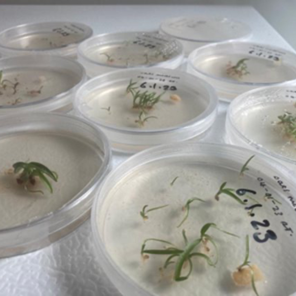 Back On Our Map Legacy Documents | Morecambe Bay Partnership