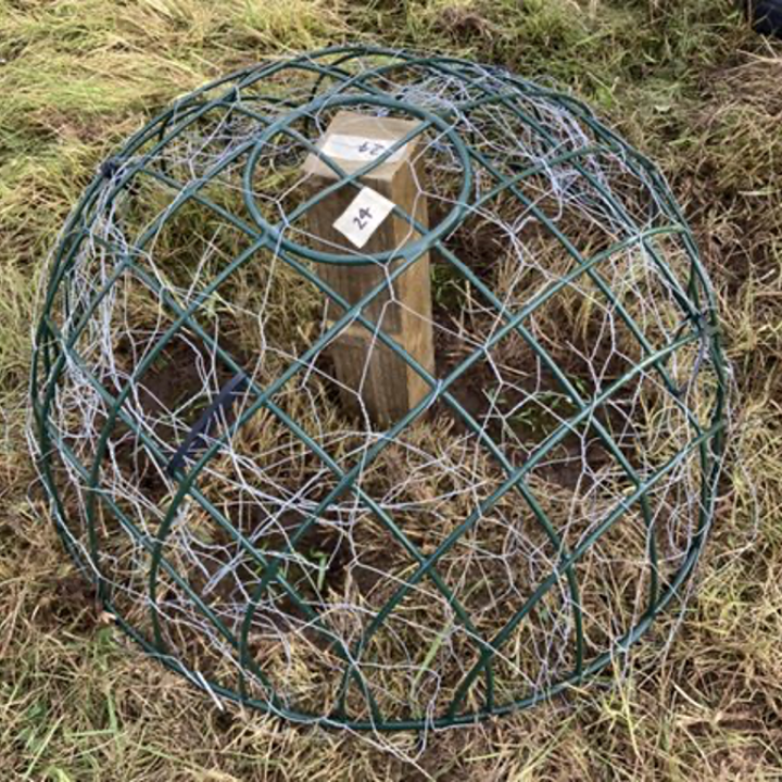 Back On Our Map Legacy Documents | Morecambe Bay Partnership