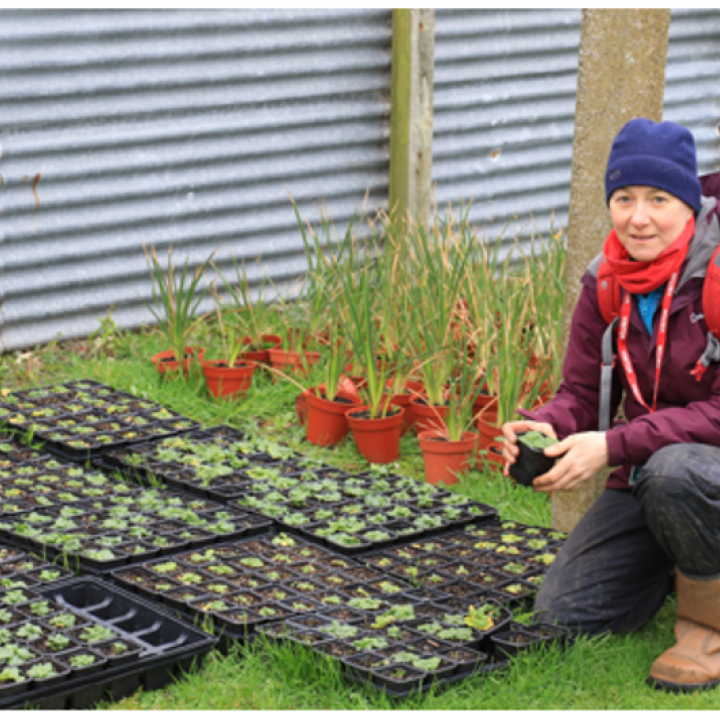 Back On Our Map Legacy Documents | Morecambe Bay Partnership