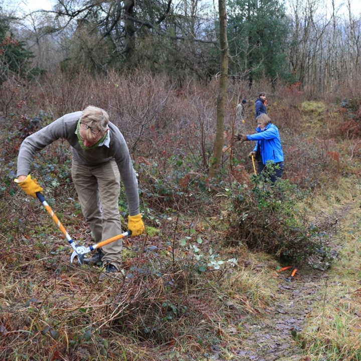 Back On Our Map Legacy Documents | Morecambe Bay Partnership