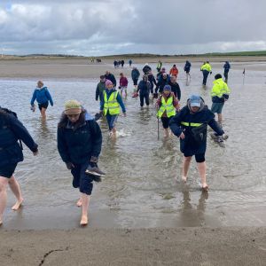 The Leven Estuary, Chapel Island and… | Morecambe Bay Partnership