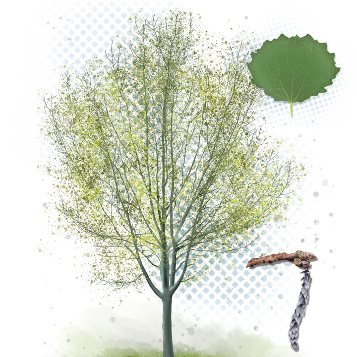 Back On Our Map "best bits" | Morecambe Bay Partnership