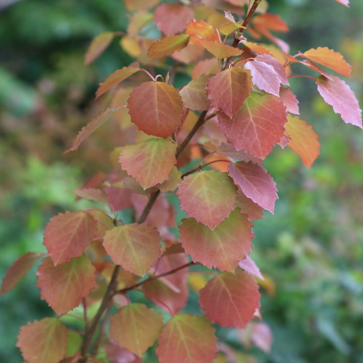 Back On Our Map "best bits" | Morecambe Bay Partnership