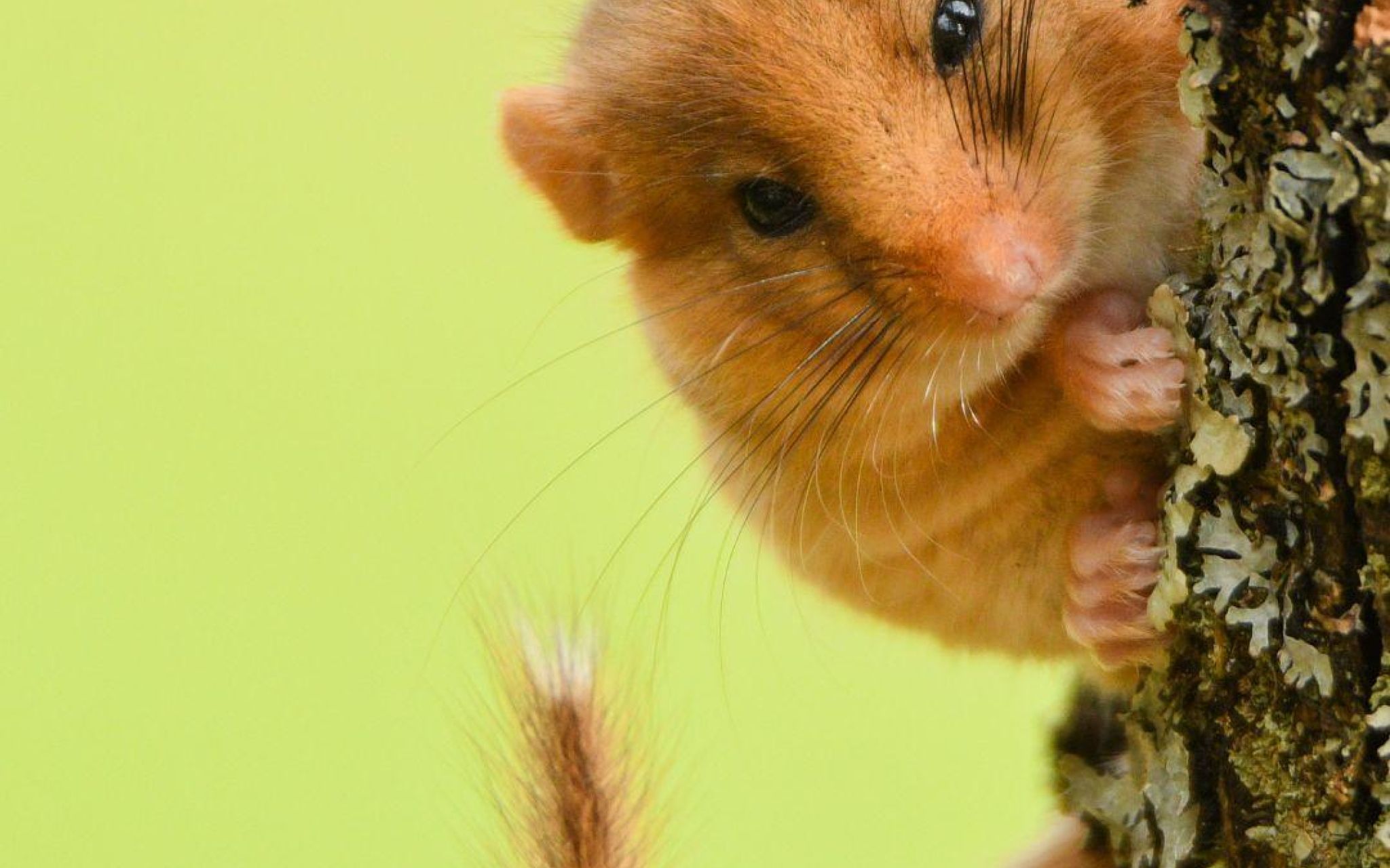 Back On Our Map "best bits" | Morecambe Bay Partnership