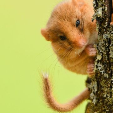 Back On Our Map "best bits" | Morecambe Bay Partnership