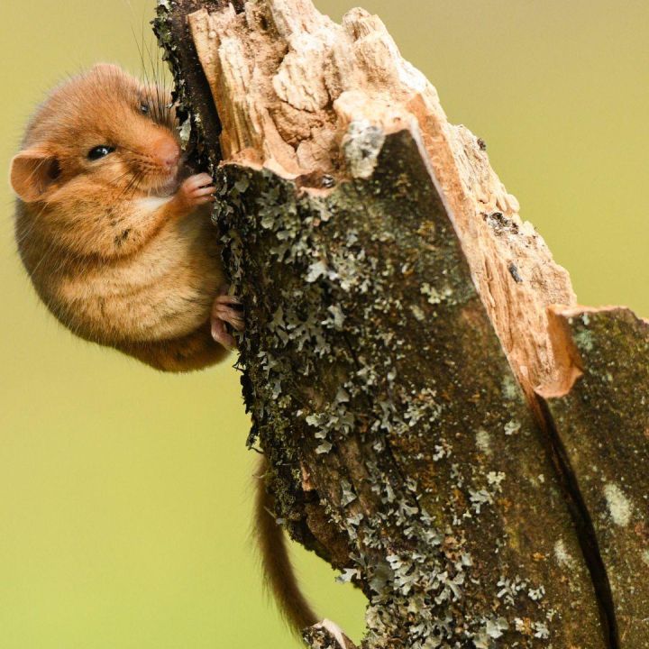 Back On Our Map "best bits" | Morecambe Bay Partnership