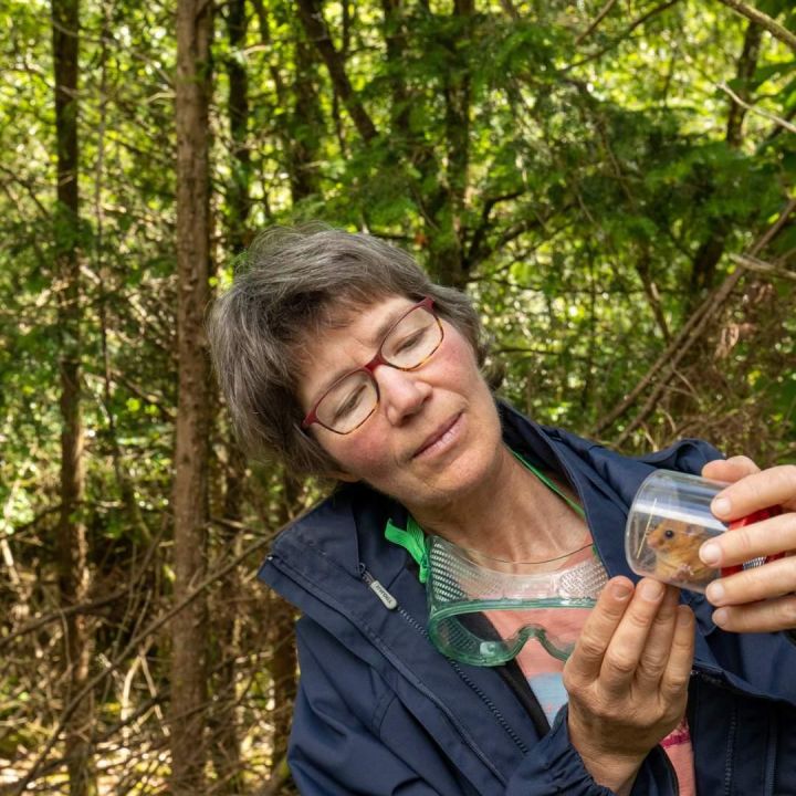 Back On Our Map "best bits" | Morecambe Bay Partnership