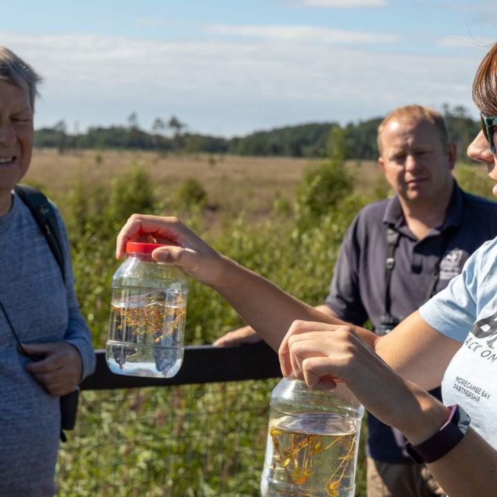 Back On Our Map "best bits" | Morecambe Bay Partnership