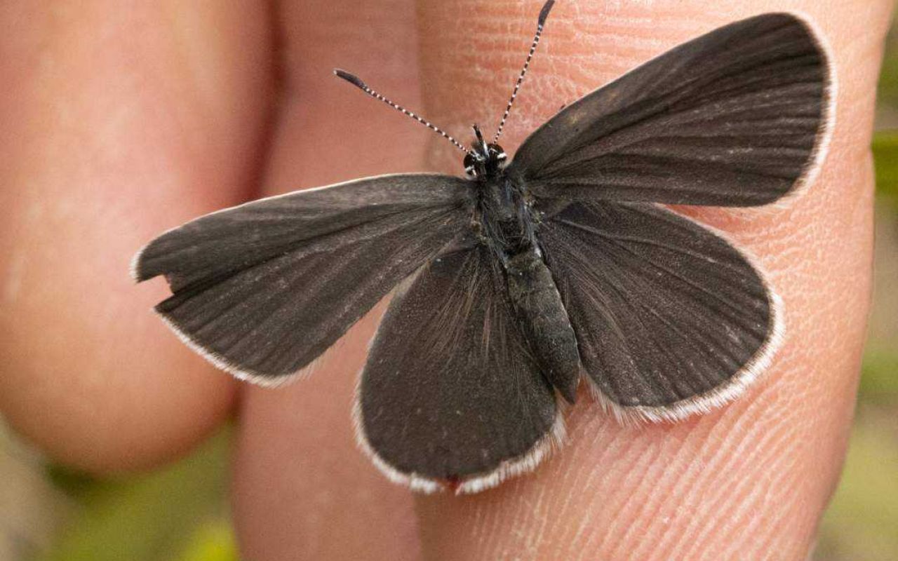 Back On Our Map Legacy Documents | Morecambe Bay Partnership