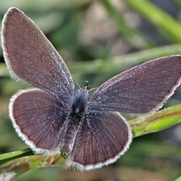 Back On Our Map "best bits" | Morecambe Bay Partnership