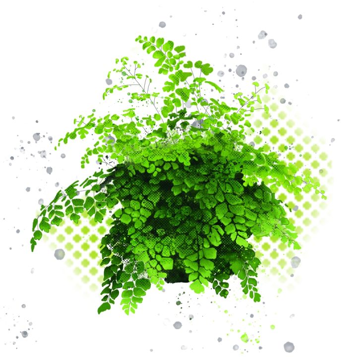 Back On Our Map Legacy Documents | Morecambe Bay Partnership