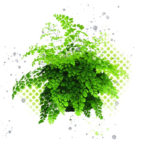 Back On Our Map Legacy Documents | Morecambe Bay Partnership