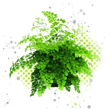 Back On Our Map Legacy Documents | Morecambe Bay Partnership