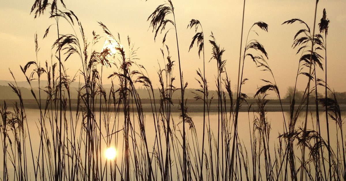 Tewitfield Marina Holiday Apartments and… | Morecambe Bay Partnership